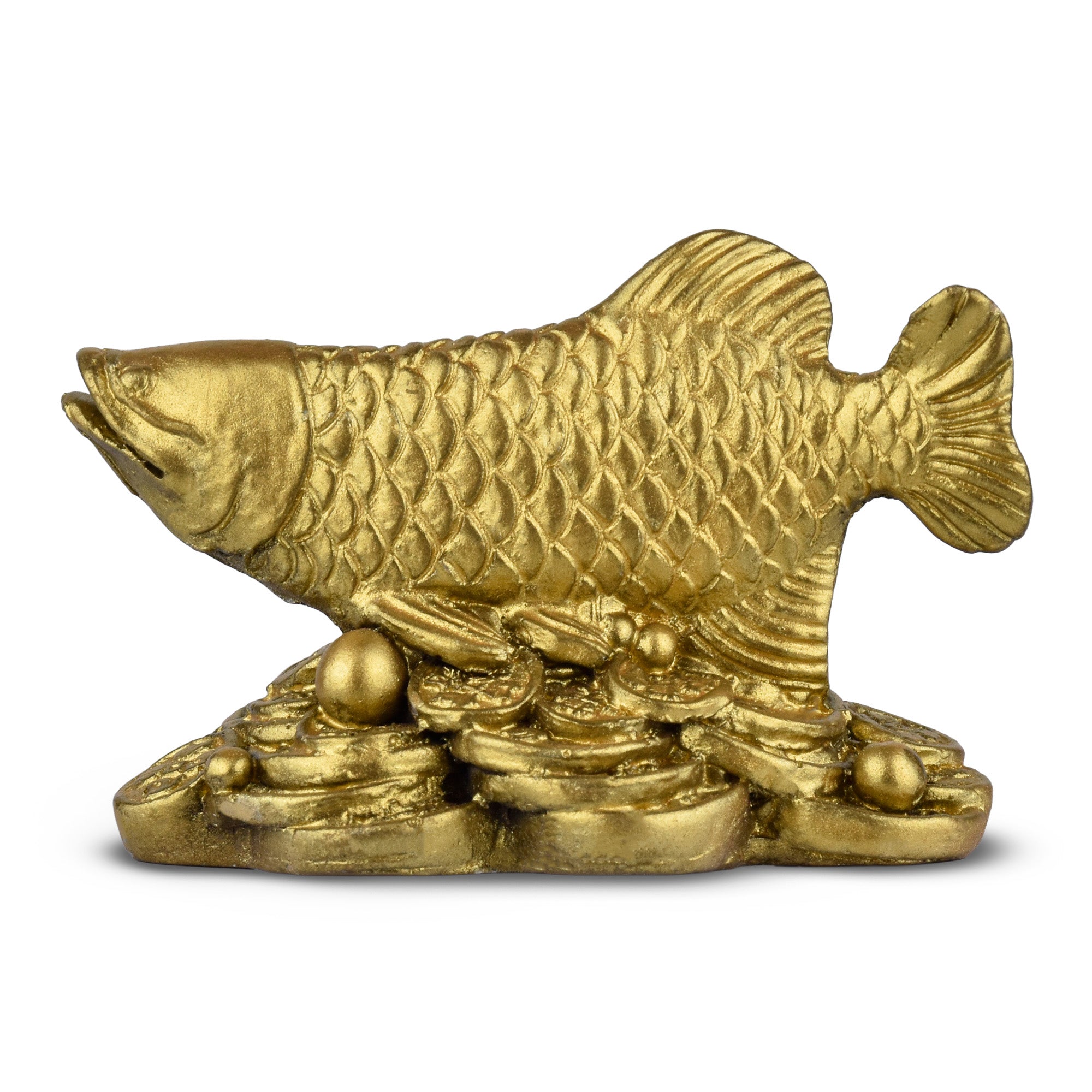 Feng Shui Arowana Fish Idol for Career Growth, Wealth & Protection- 3 ...